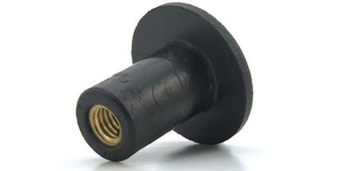 Everything You Need to Know About Well Nuts